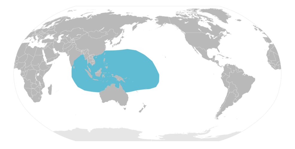 Indo-Pacific: some alternative views